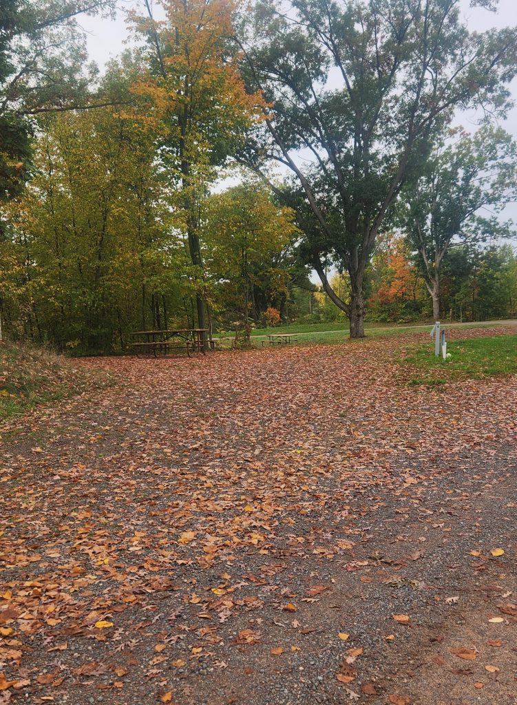 ATV site #6 | City of Shell Lake